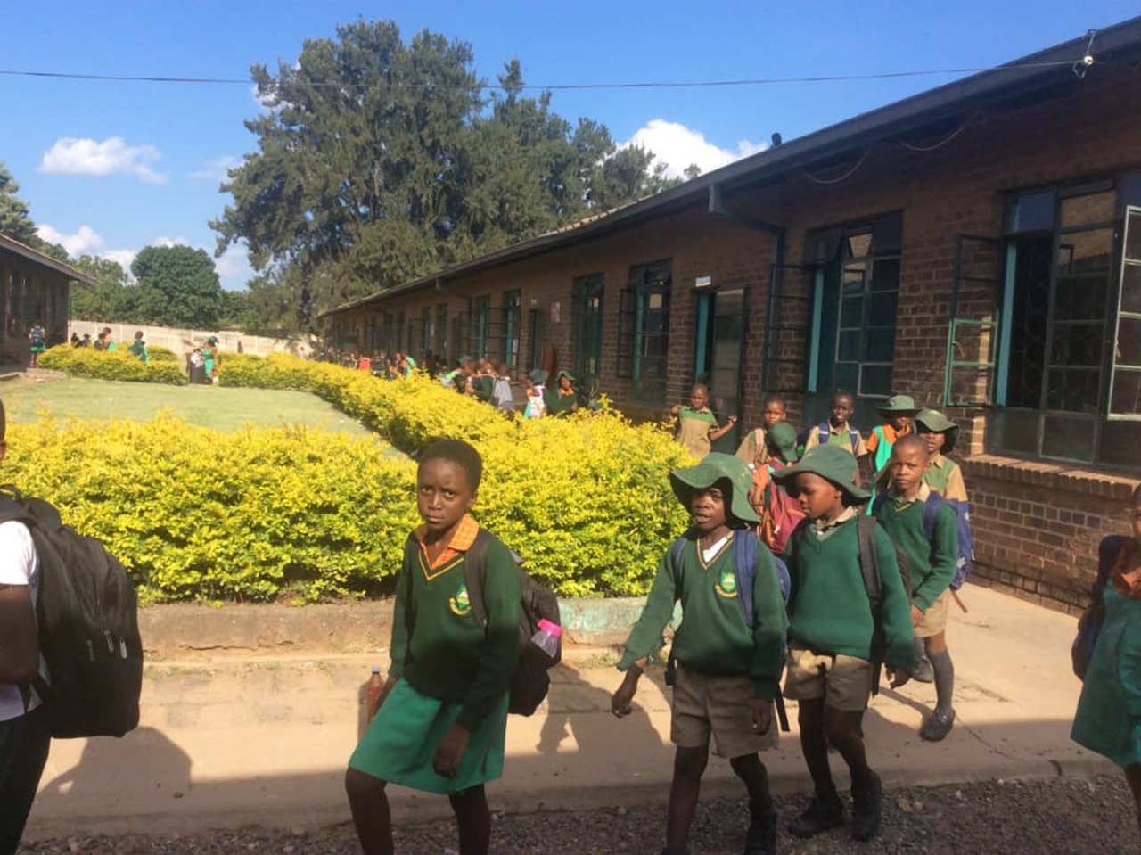 Home - Crook Primary School